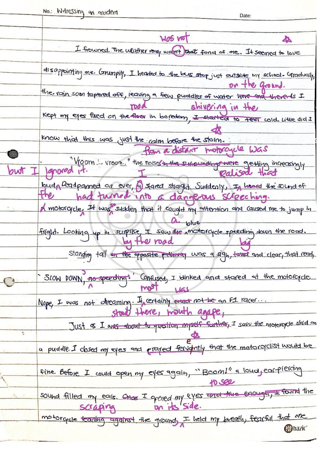 Sample Grading – Compo Owl