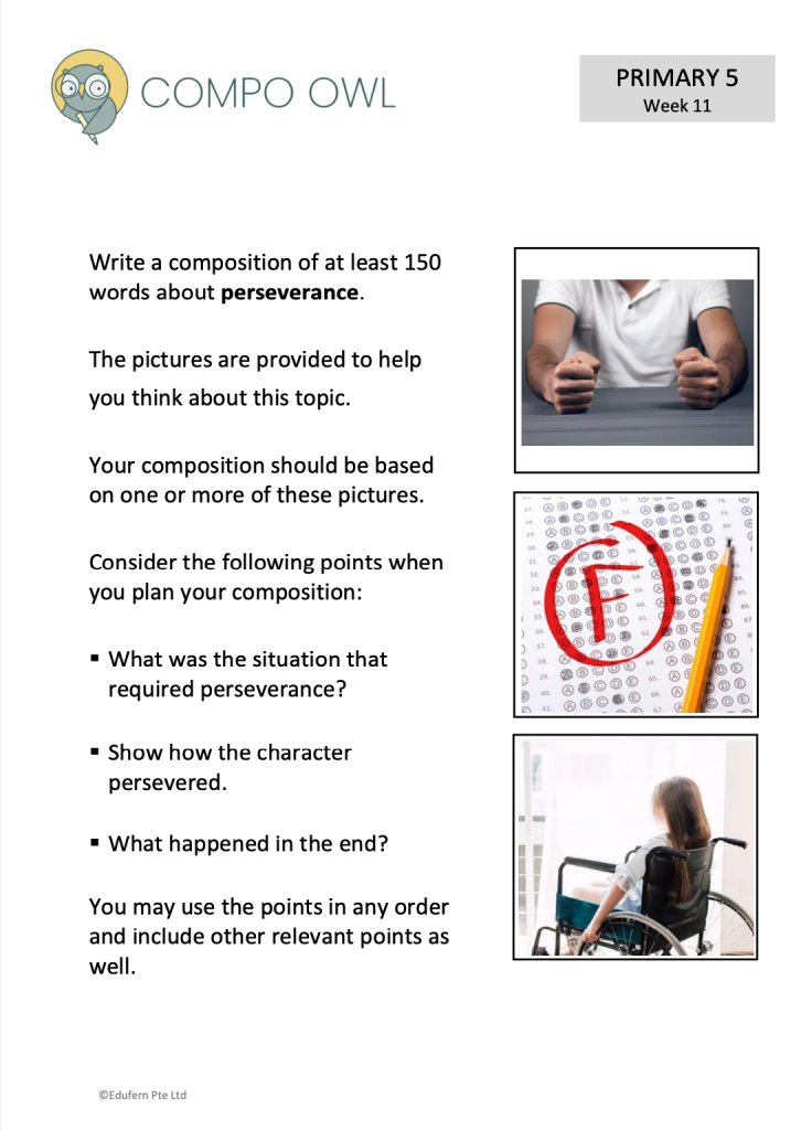 Sample Questions – Compo Owl